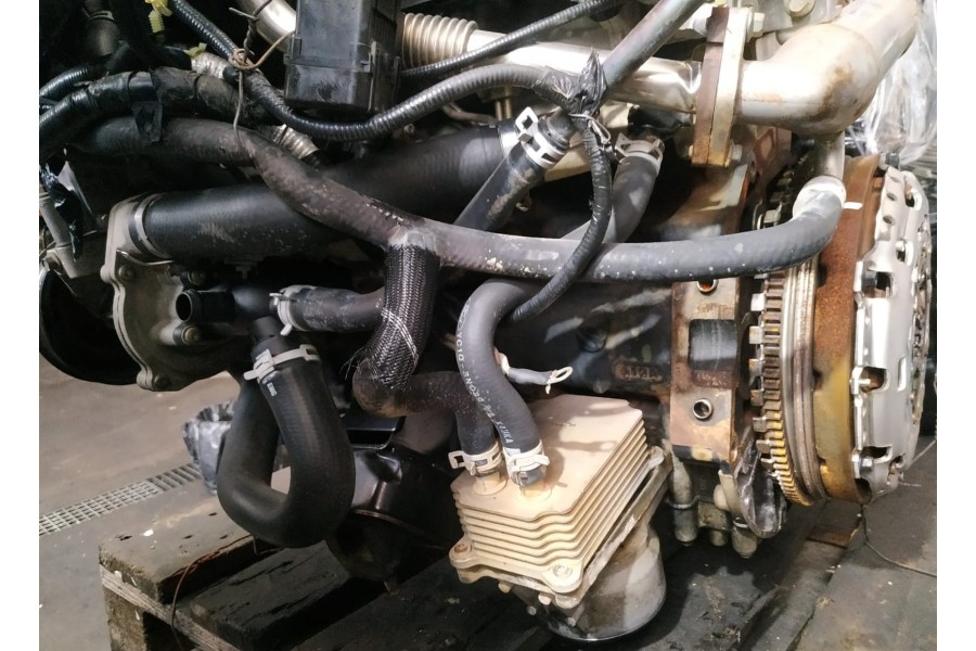 MOTOR FORD TRANSIT 2.4